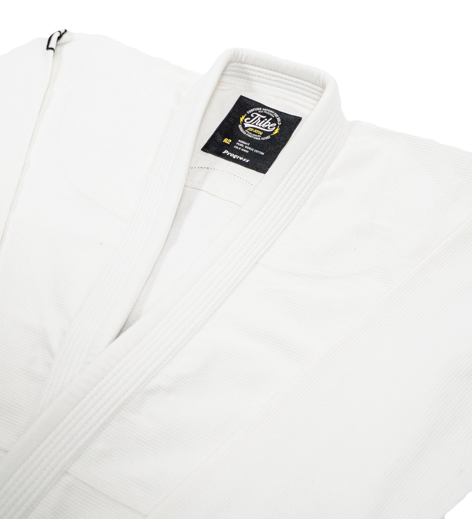 Tribe Jiu Jitsu – Progress Jiu Jitsu Europe
